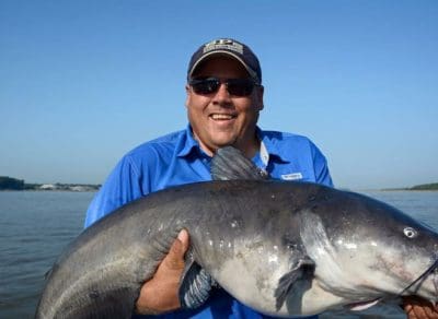 Gallery | Catfish Pro | Excel Boats