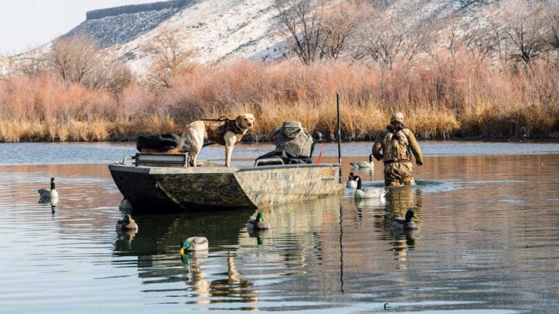 All Models | Excel Boats