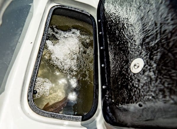 Gallery | Bay Pro 230 | Excel Boats