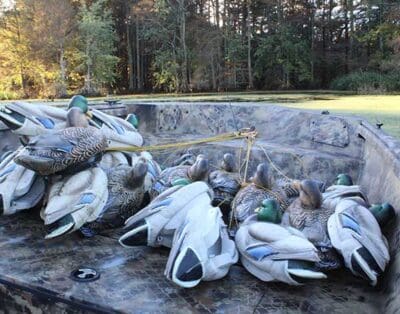 Features | River Warrior | Excel Boats